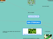 BACTERIAS - Mind Map